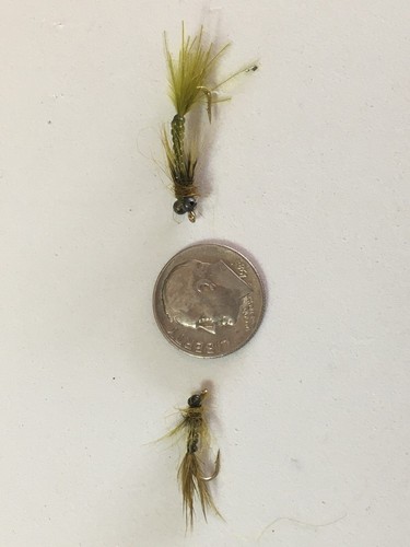 DRAGONFLY NYMPHS SIZES 14 AND 10 HOOK TROUT BLUEGILL WET FLIES FLY ...