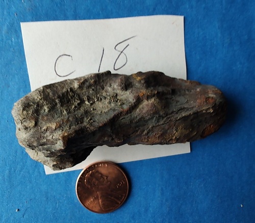 Dino Coprolite Fossil Dinosaur Dung Poop crap turd fossilized feces 55 ...