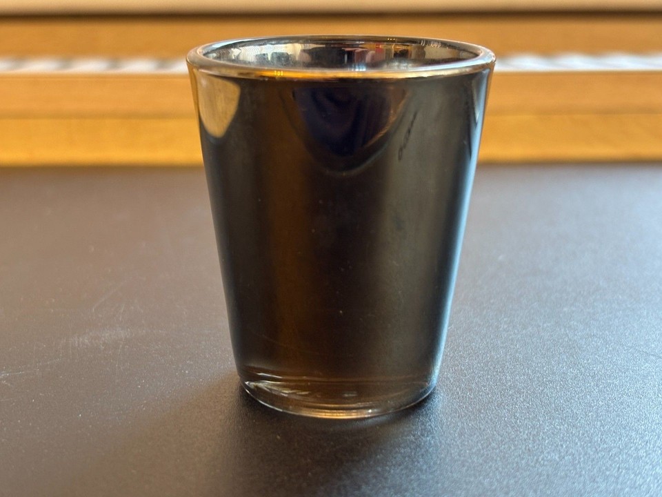 Back to the Future The Ride Universal Studios Florida Shot Glass | eBay UK