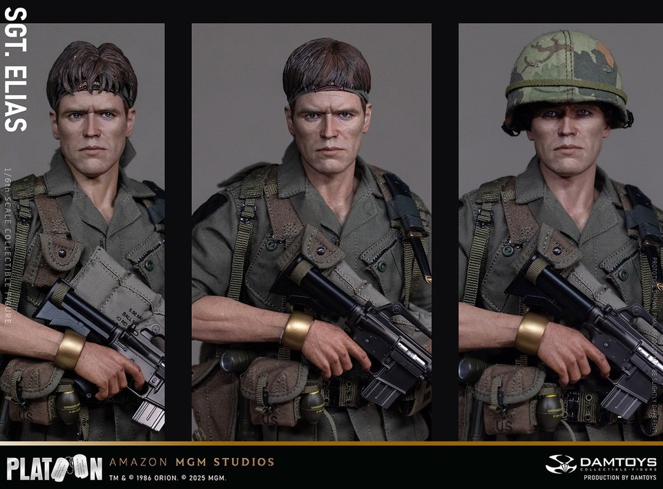 DAMTOYS DMS047 1/6 Platoon Sergeant Elias 12" Male Action Figure Model ...
