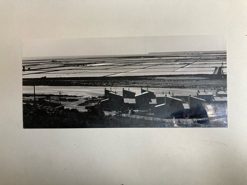 Large Analog Photo Louis Renoult Landscape Camargue Photography 1970 ...
