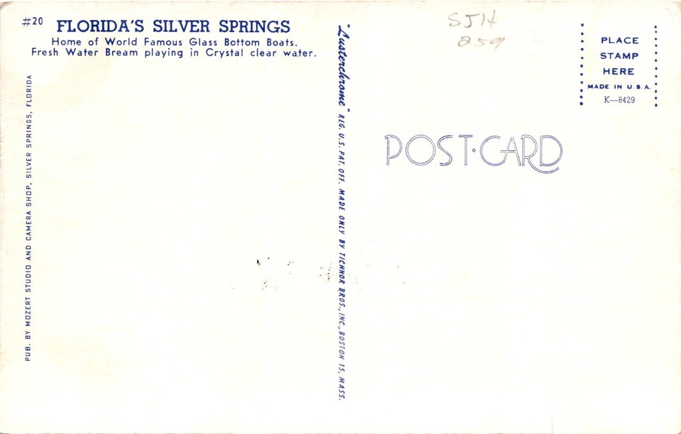 Florida, Silver Springs, Glass Bottom Boats, Mozert Studio, Camera ...