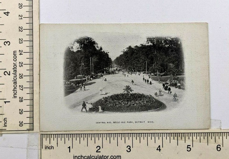 1900s The Detroit News Daily Newspaper Souvenir Postcard Vintage Belle ...
