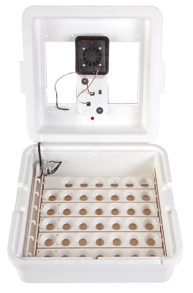 Still Air Incubator For Chicken Eggs Quail Eggs Exotic Bird Eggs ...