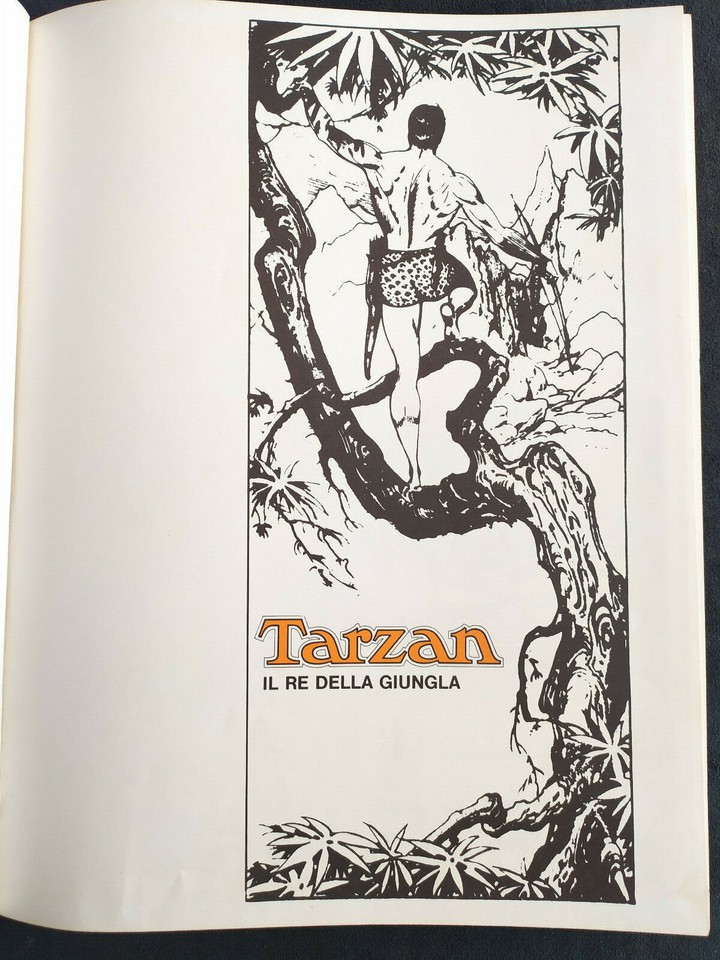 TARZAN IL RE DELLA GIUNGLA (Brune Hogarth Edgar Rice Burroughs) 1971 | eBay
