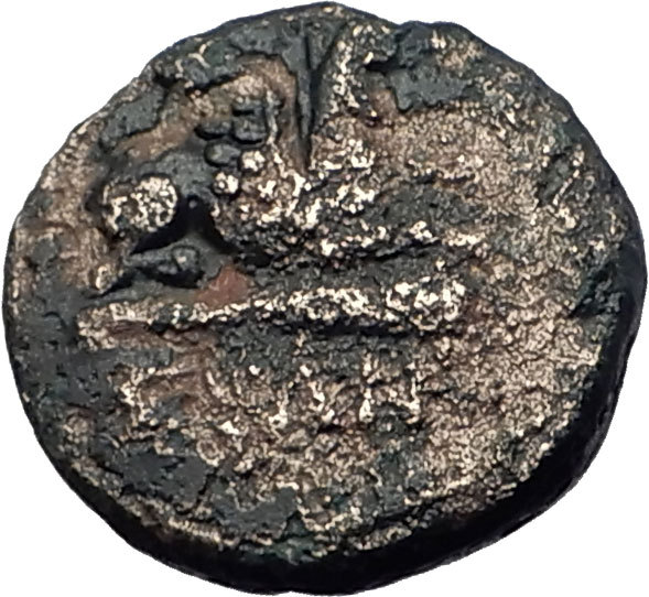 ABDERA THRACE - Genuine 345BC Apollo Griffin Authentic Ancient Greek ...
