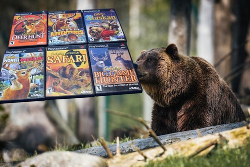 Cabela's Hunting lot video games Safari Alaska deer hunt PS2 ...
