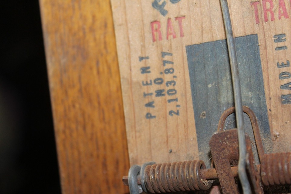 Vintage McGill Cant Miss Four Way Mouse Trap | eBay