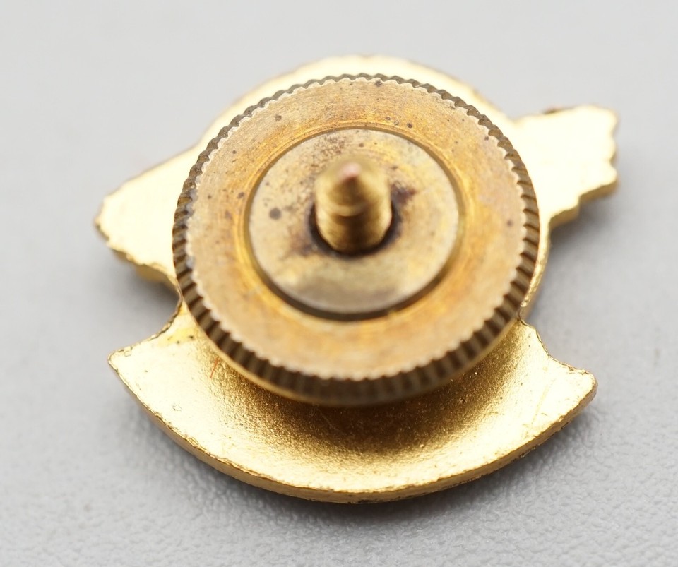 WWII USCG Coast Guard Ruptured Duck Honorable Discharge Pin VERY RARE ...