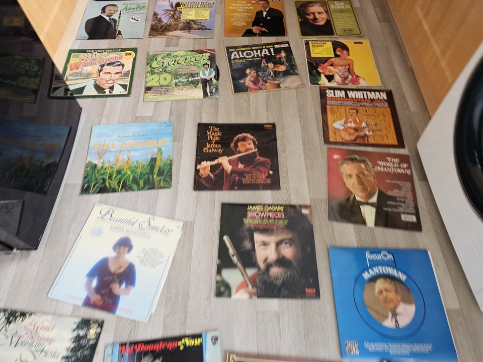 29X VINYL RECORD ALBUMS - 12" LP Bundle,Random,collection faimos artist ...