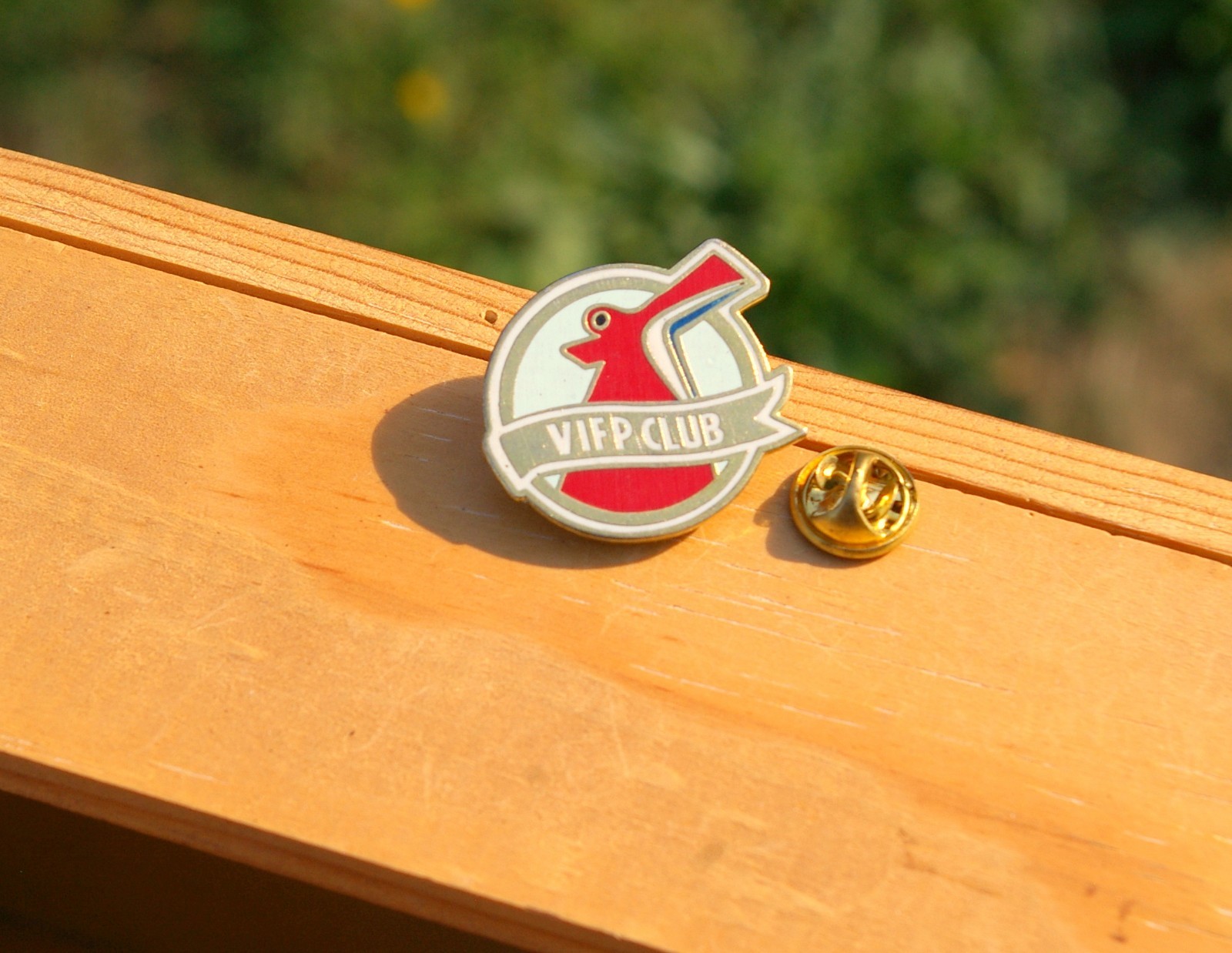 VIFP Club Carnival Cruise Line Metal & Enamel Lapel Pin Pinback | eBay