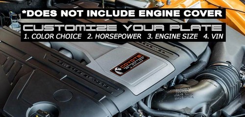 2018-2023 Mustang GT Aluminum 5.0 Engine Cover Plate [15FM_EP_C550 ...
