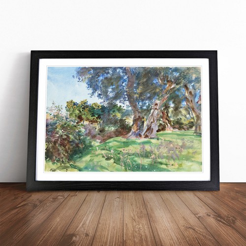 Olive Trees By John Singer Sargent Wall Art Print Framed Canvas Picture ...