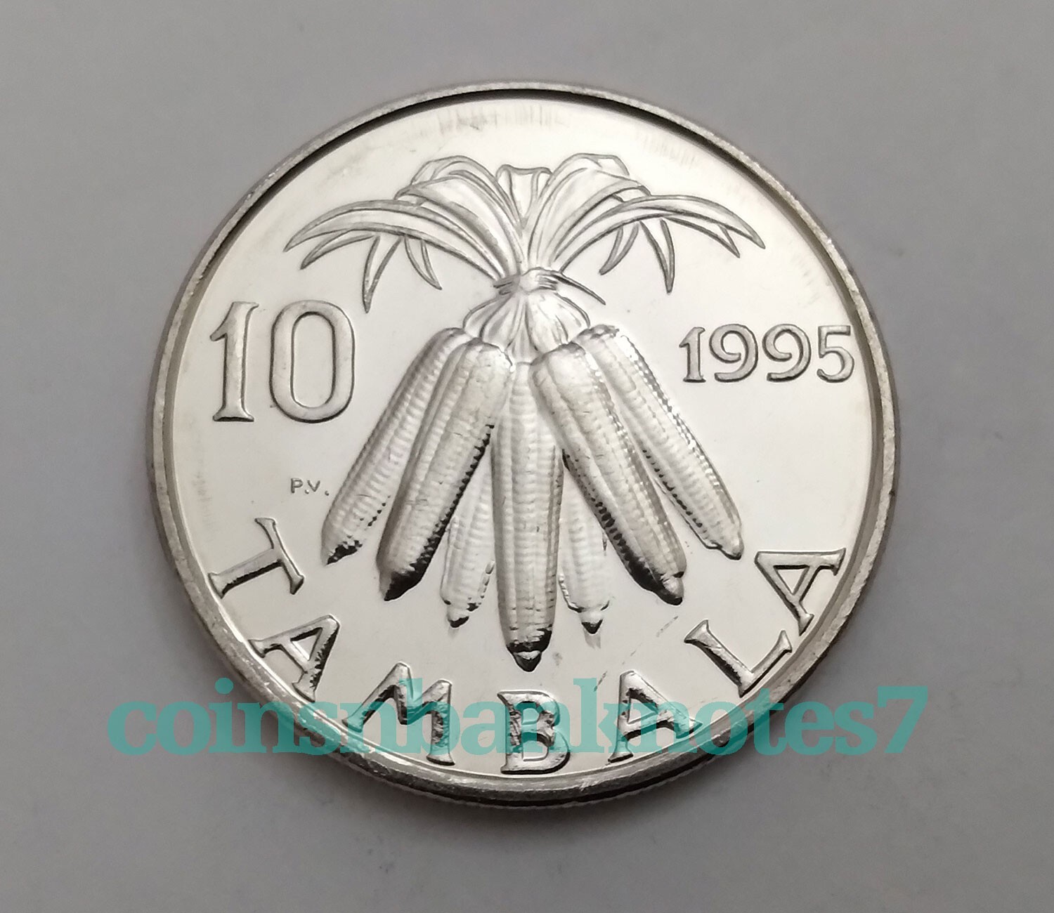 1995 Malawi 10 Tambala Coin, KM27 Uncirculated / Corns | eBay