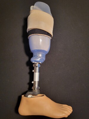 PROSTHETIC LEG, CARBON FIBER, CLEAR, PROSTHETIC FOOT | eBay