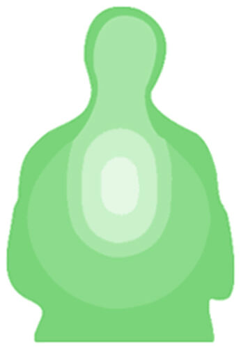 TT-II US Treasury Transitional Silhouette Target, Transtar-II, 24" x 40 ...