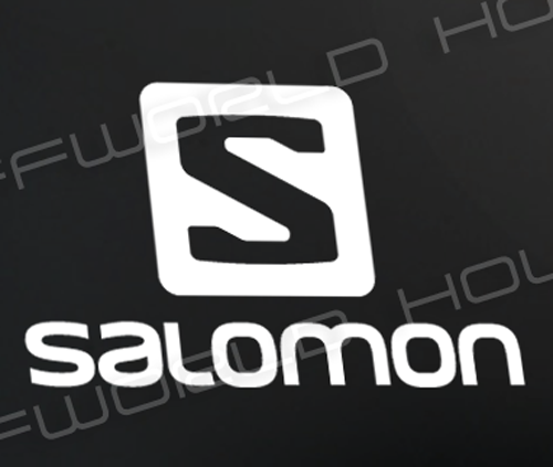 SALOMON sticker decal snowboard ski snow 3" or 4.75" wide | eBay
