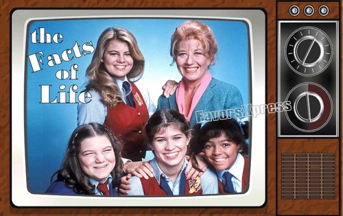 The Facts of Life Classic TV Show PHOTO MAGNET 4 X 2.5 INCHES | eBay