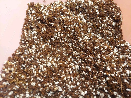 Coconut Coir - Coco Coir & PERLITE 50/50 ORGANIC GROWING, COMPOST MEDIA ...