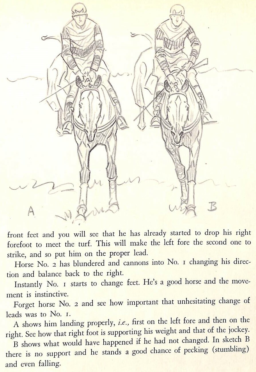 "The Horse: His Gaits, Points, & Conformation" BROWN, Paul w/ Remarque ...