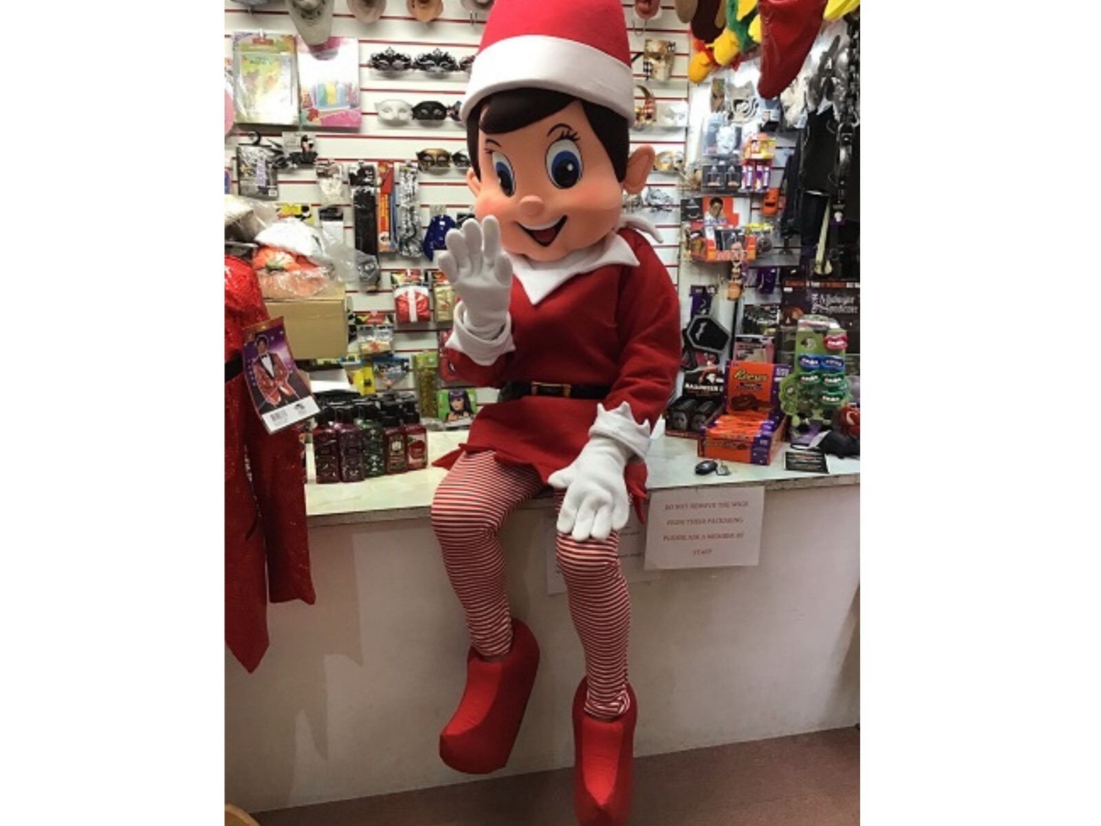 Elf Mascot Costume Christmas Grotto Naughty Elves Adult Professional ...