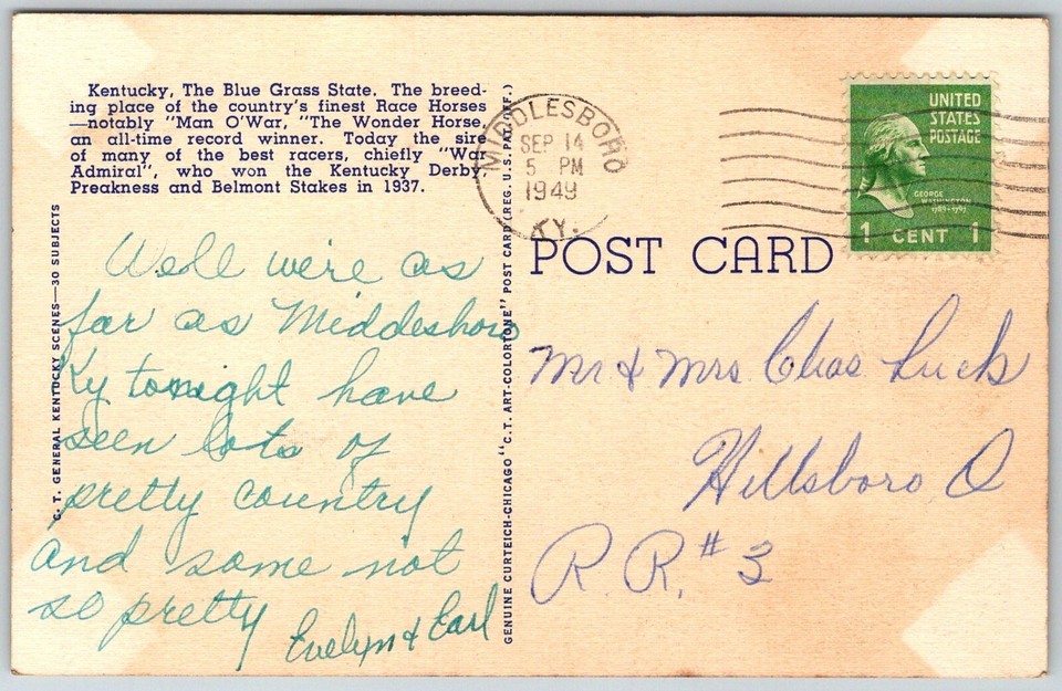 Kentucky 1949 Postcard Man O War Thoroughbred Horse Derby Winner Crown ...