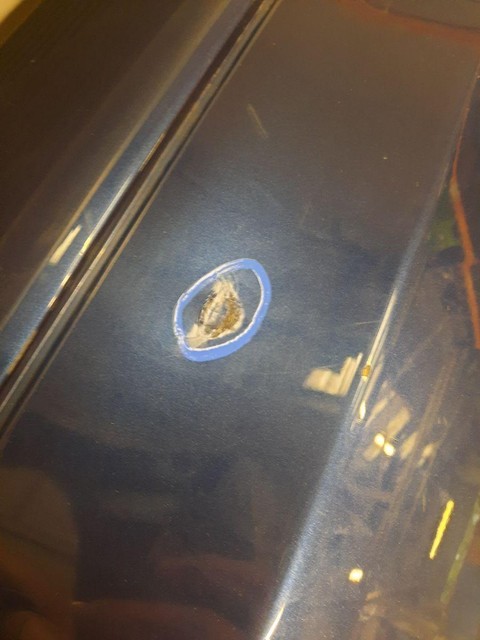 51122574882 Bumpers Rear BMW Serie 2 Active Tourer (f45) 352955 for ...