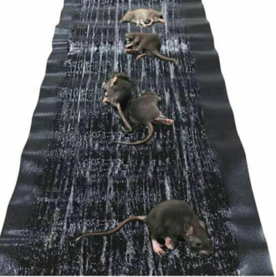 20pcs Large Mice Mouse Glue Traps Rodent Catcher Rat Board Indoor Super ...