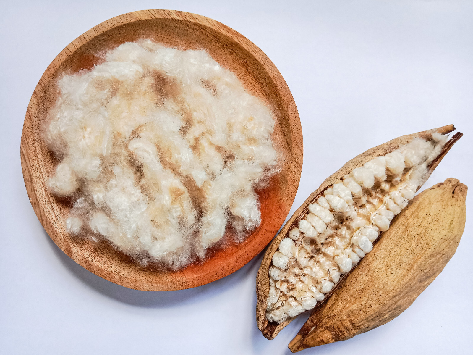 PURE SUPERFIN KAPOK 500gr FILLING ZAFUS,SAFE for KIDS TOYS,PILLOWS ...