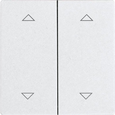 Eltako DW-F4T55E-wg+2P Doppelwippe (30055954) | eBay.de