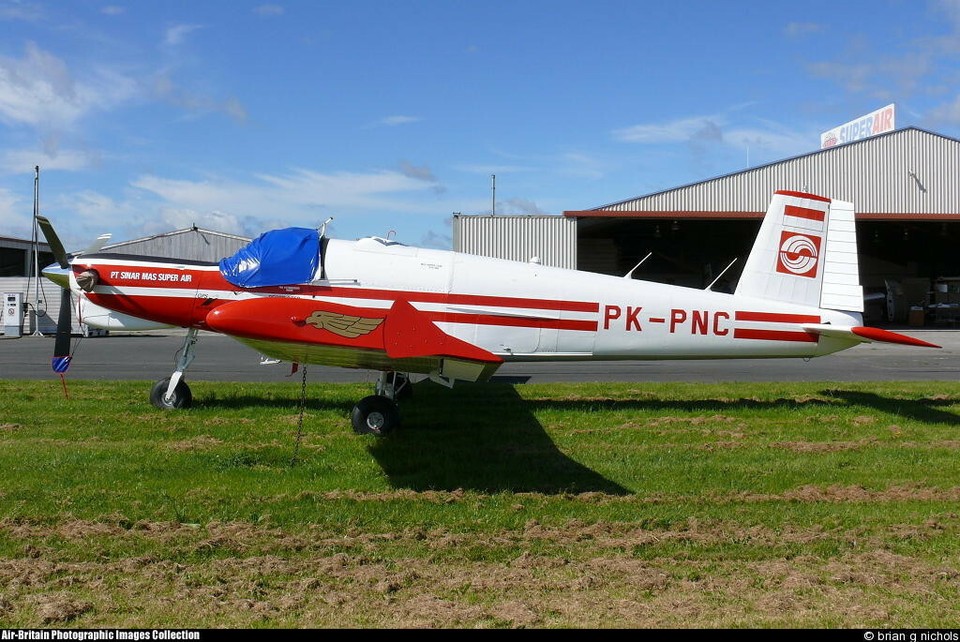 PAC Fletcher FU-24-950 Airplane Desk Wood Model Small New | eBay
