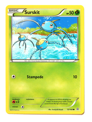 Surskit 13/160 (NM, Pokemon Card, Primal Clash, 2015, Grass, Common) | eBay