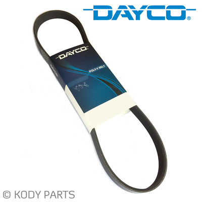 DAYCO Polyrib belt 8PK1535 - Ribbed Serpentine Drive Belt | eBay