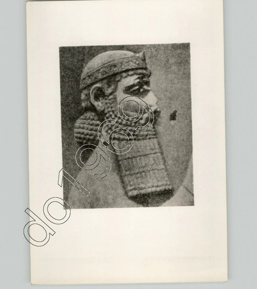 Darius The Great Drawing