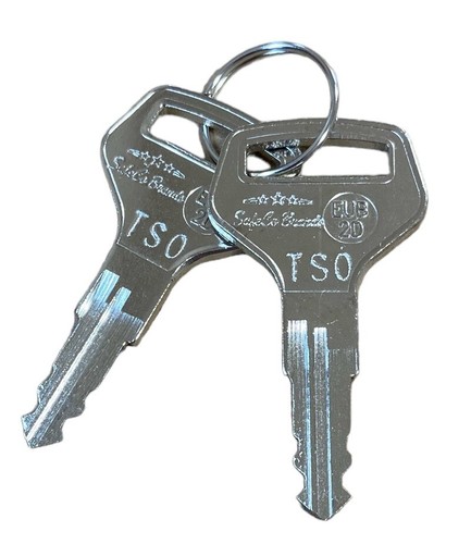 Replacement Keys for Series TS0 - TS9 Sentry Safe/Schwab 2-Keys SafeCo ...