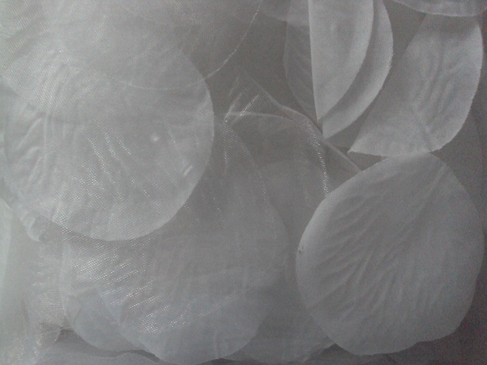 Wilton White Roses Petal 300ct For Wedding Party Deco New | eBay