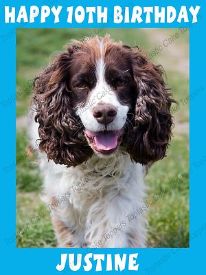 Personalised Springer Spaniel Dog Edible Icing Birthday Party Cake ...