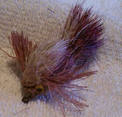 VINTAGE TUTTLE DEVIL BUG MOUSE FLY LURE 9/26/22 BODY APPROX 1" LOT K | eBay