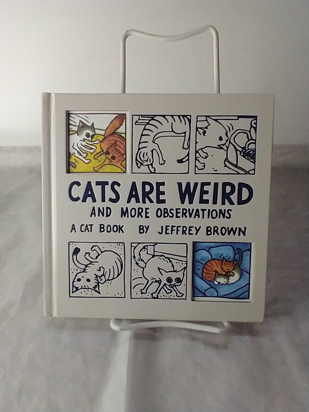 Cats Are Weird : And More Observations by Jeffrey Brown (2010 ...