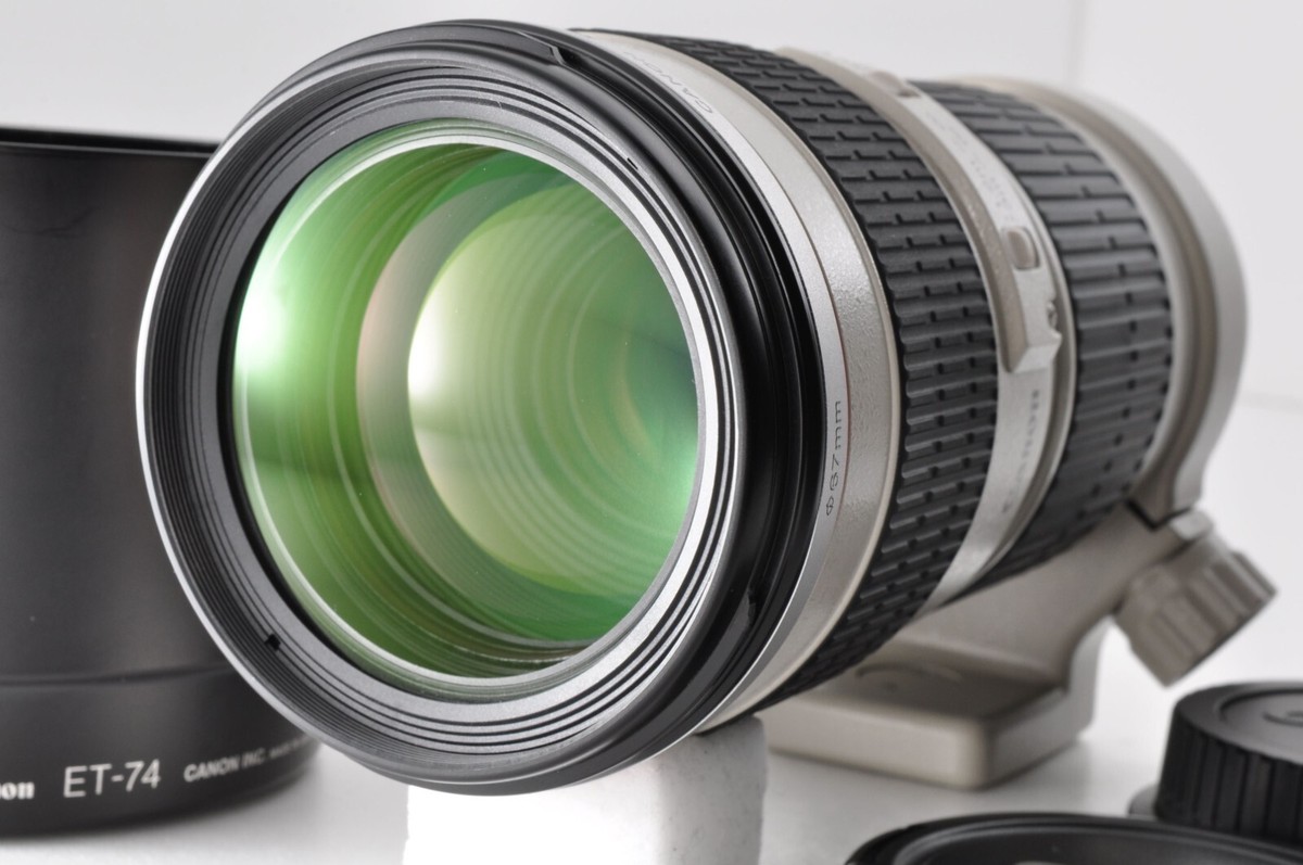 NEAR MINT Canon EF 70-200mm f/4 L USM Lens w/ Food by DHL NEAR MINT Canon EF 70-200mm f/4 L USM Lens w/ Food by DHL