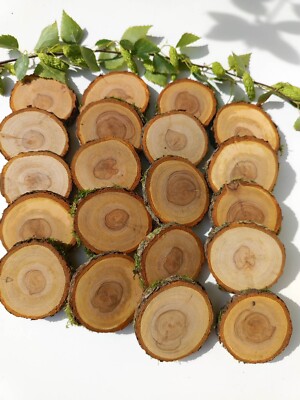 WHOLESALE 1-23CM Wood Log Slices Discs Round Wedding Rustic ECO Crafts ...