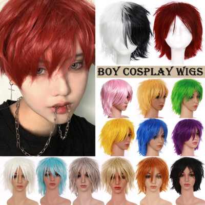 USA Handsome Boy Natural Short Straight Hair Wig Cosplay Party Cartoon ...