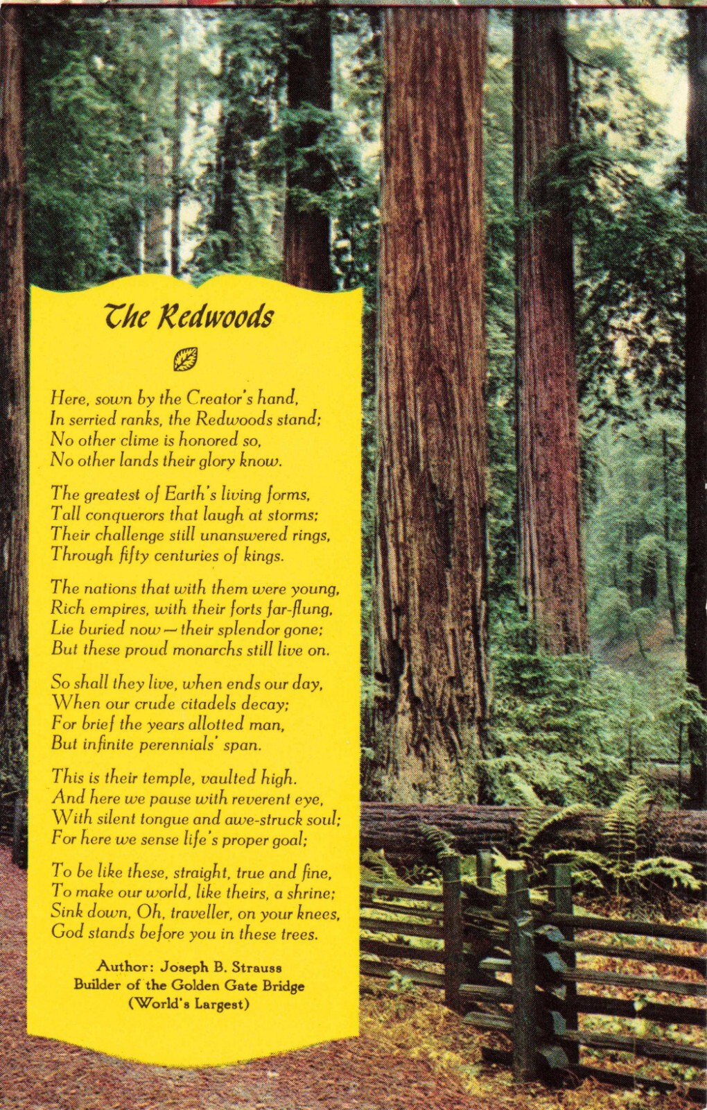 Postcard Redwood Trees Poem Joseph Strauss | eBay