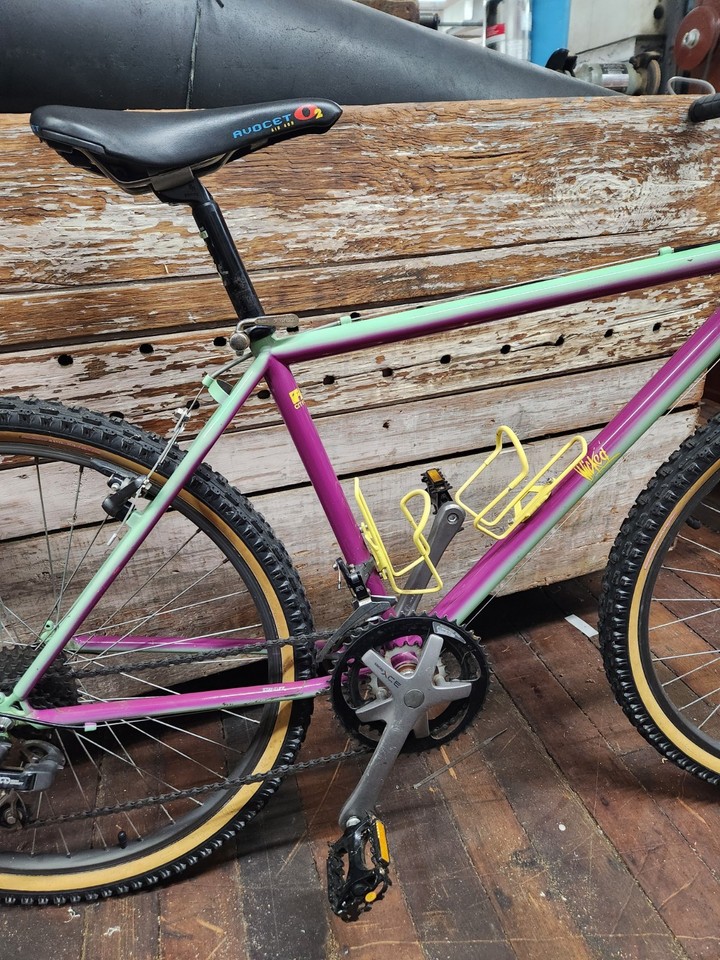 1990 FAT CHANCE WICKED 16" X 21" AMAZING CONDITION LATERAL FADED ...