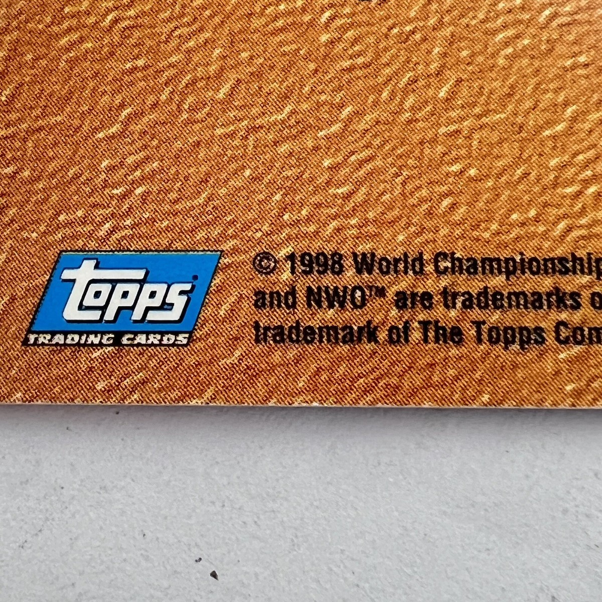 Vanessa Sanchez Tygress