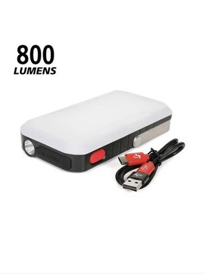Husky 800 Lumen 3-in-1 Rechargeable Utility Light with 10000 mAh Power ...