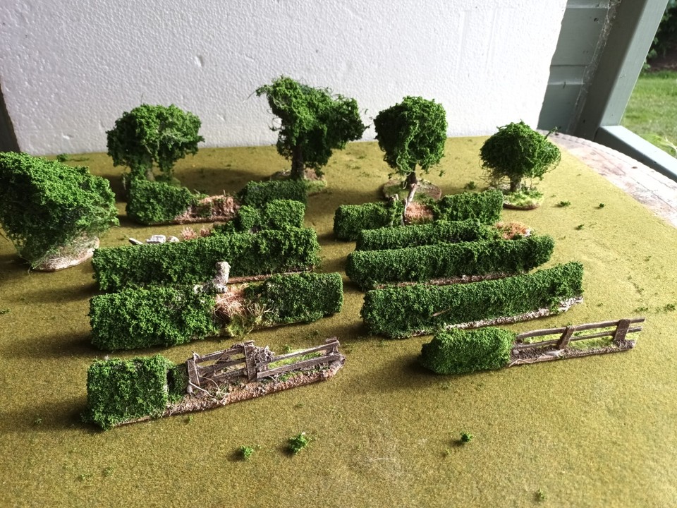 Hedges and trees. 28mm wargames terrain made to order NAPOLEONIC bolt ...