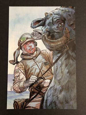 Commander Skywalker Star Wars Empire Strikes Back Mini Poster 6x9 Chris ...