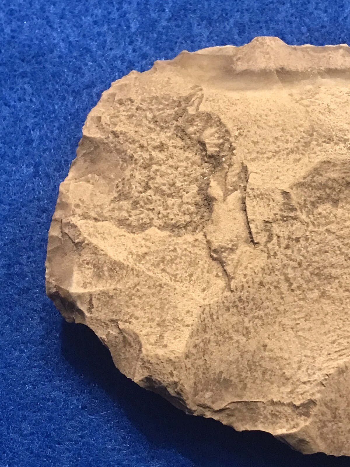 Rare Native American Skinner Stone – Unearthed in Comal County, Texas ...