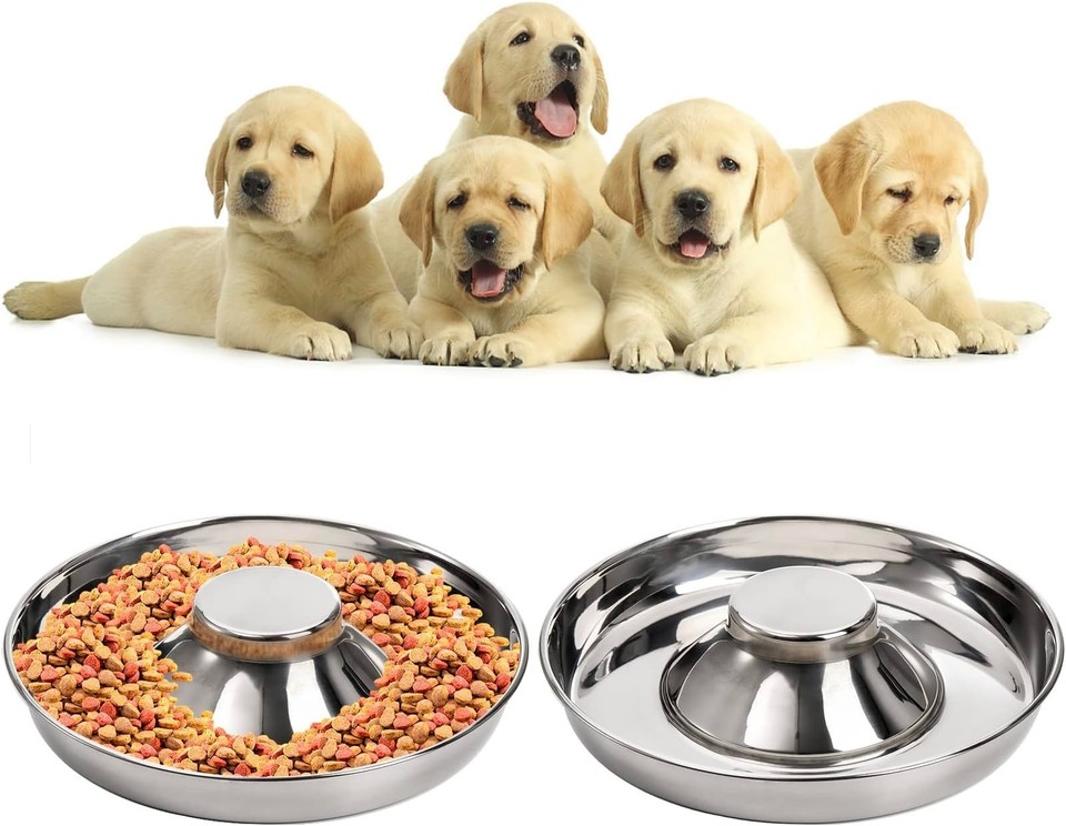 10 Dish Stainless Steel Puppy Dog Cat Slow Feeder Litter Weaning Bowl ...